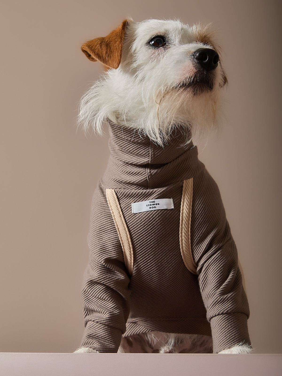 Suéter Ligero Cuello Tortuga Taupe para Perros – The Striped Dog Colombia
